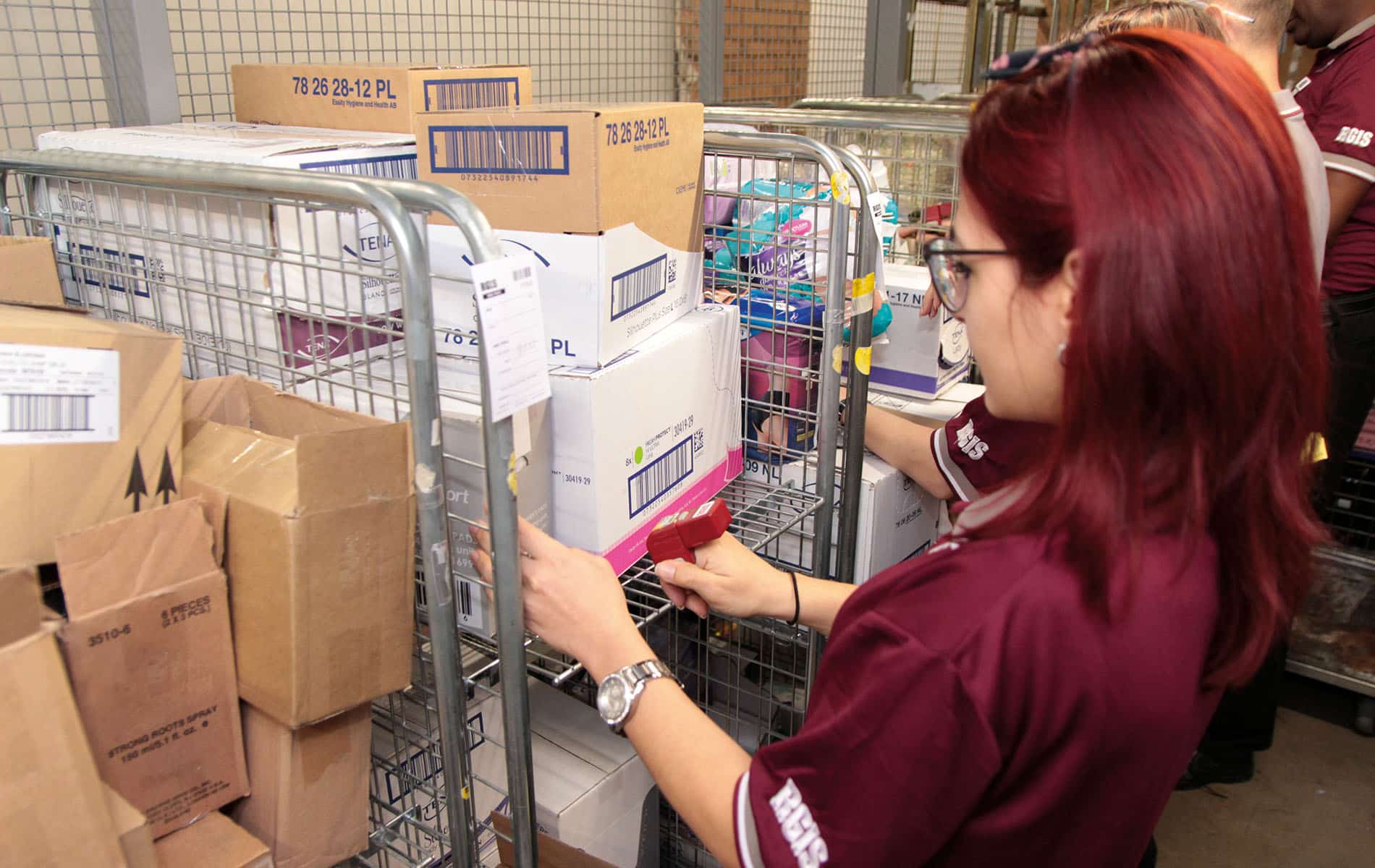 Case Study | Distribution Centre Delivery Checks | RGIS