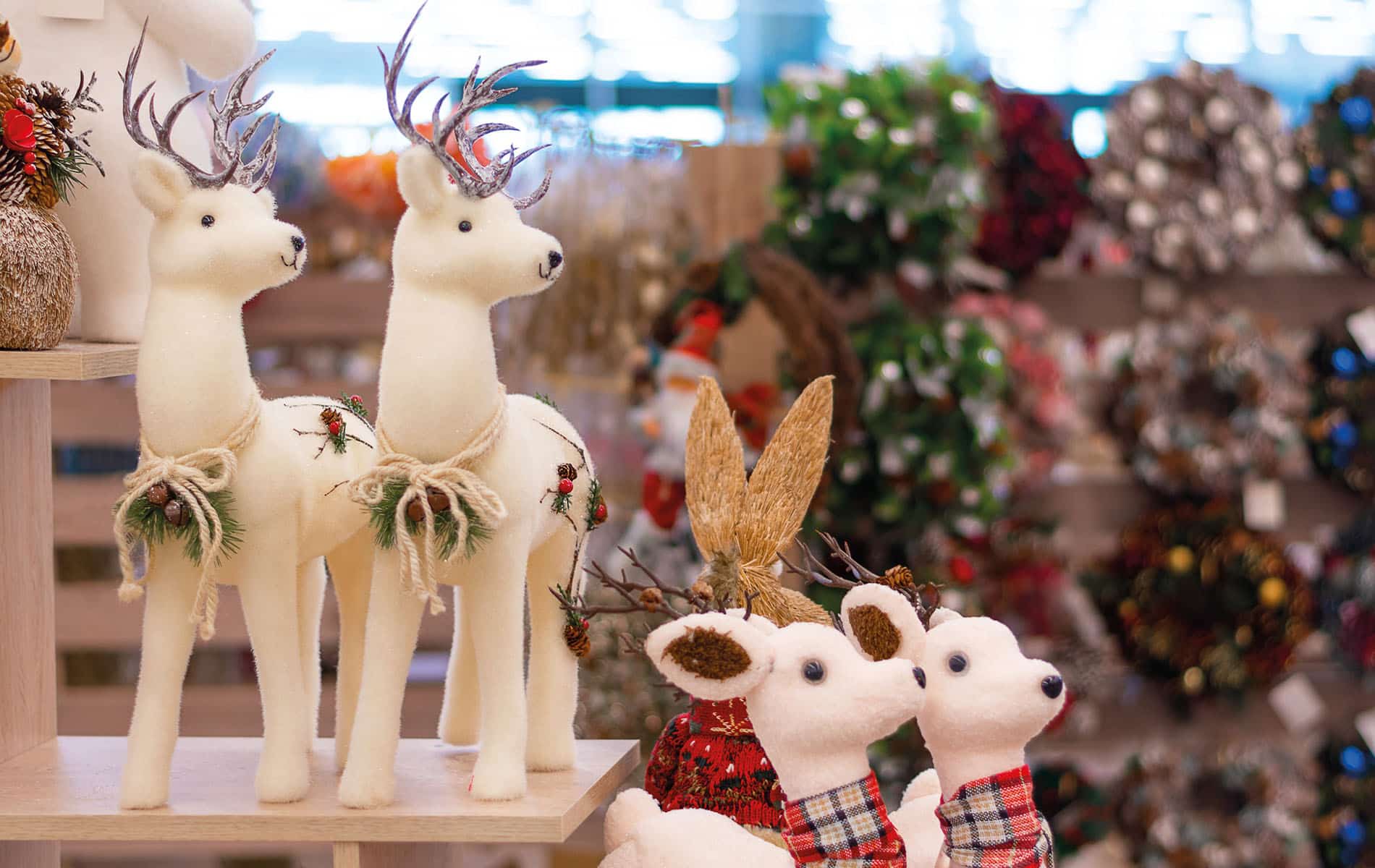 Focused Stock Count to Give Seasonal Stock Visibility | RGIS