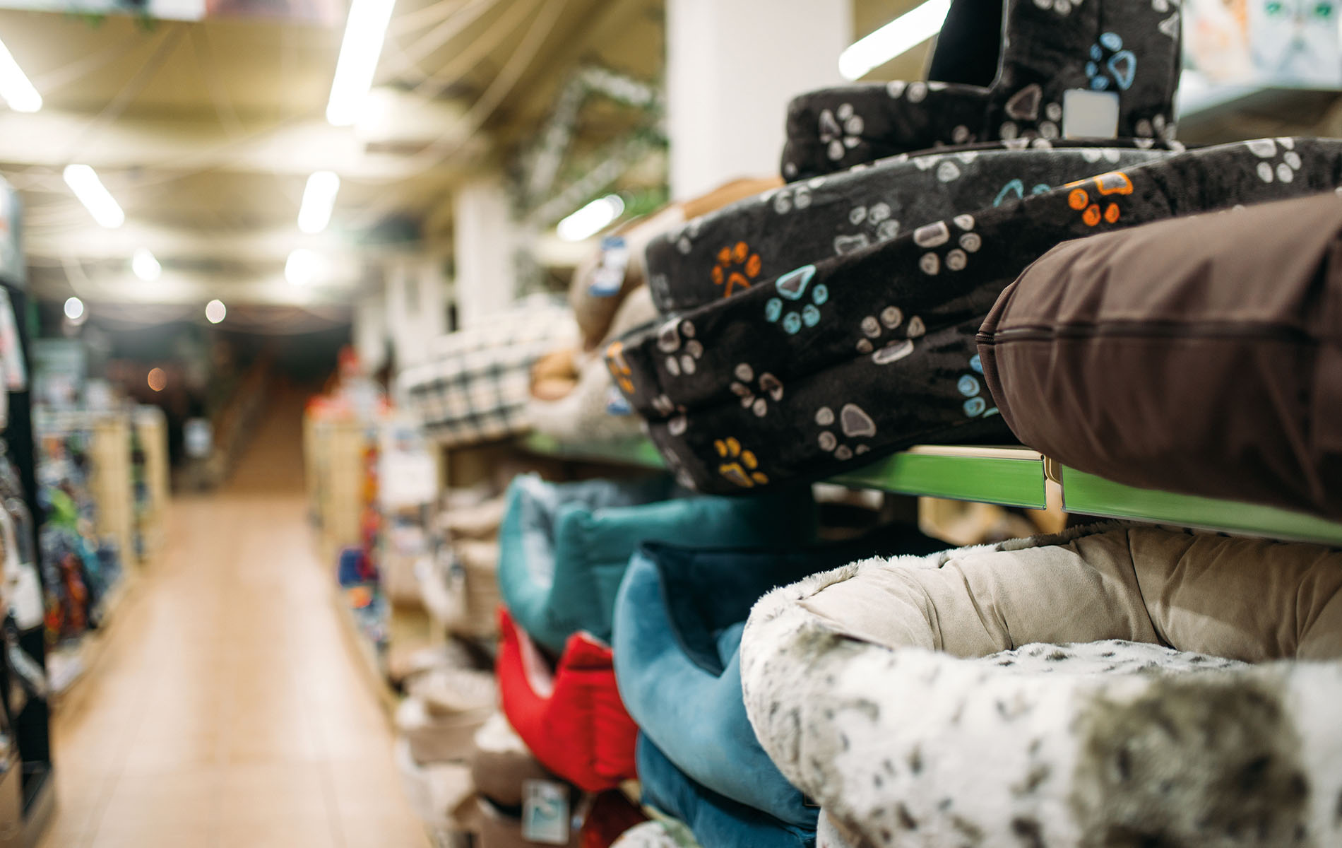 Pet Store Chain Inventory Counts to Identify Stock Loss | RGIS